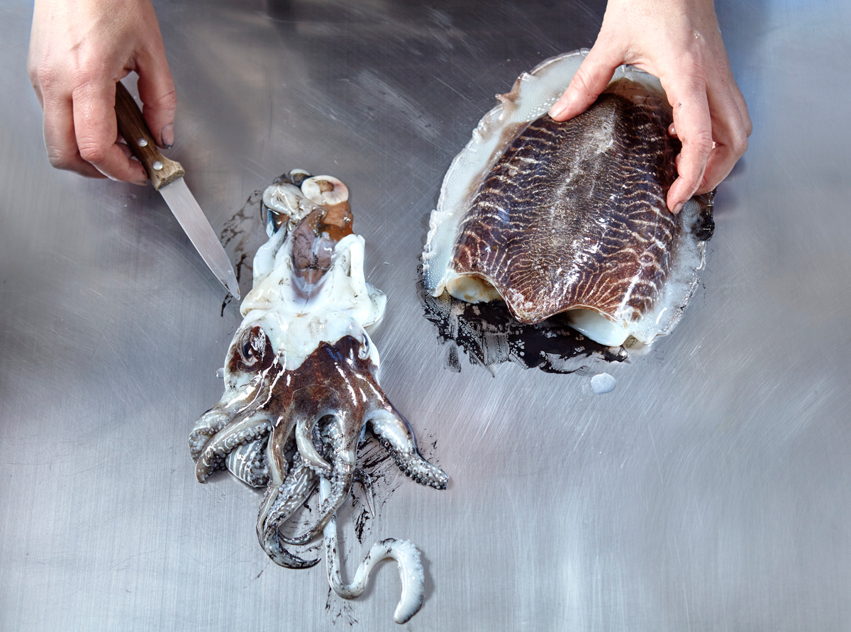 Comment identifier et cuisiner la seiche ? Guide complet. | Régal