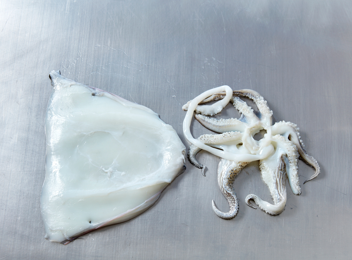 Comment identifier et cuisiner la seiche ? Guide complet. | Régal