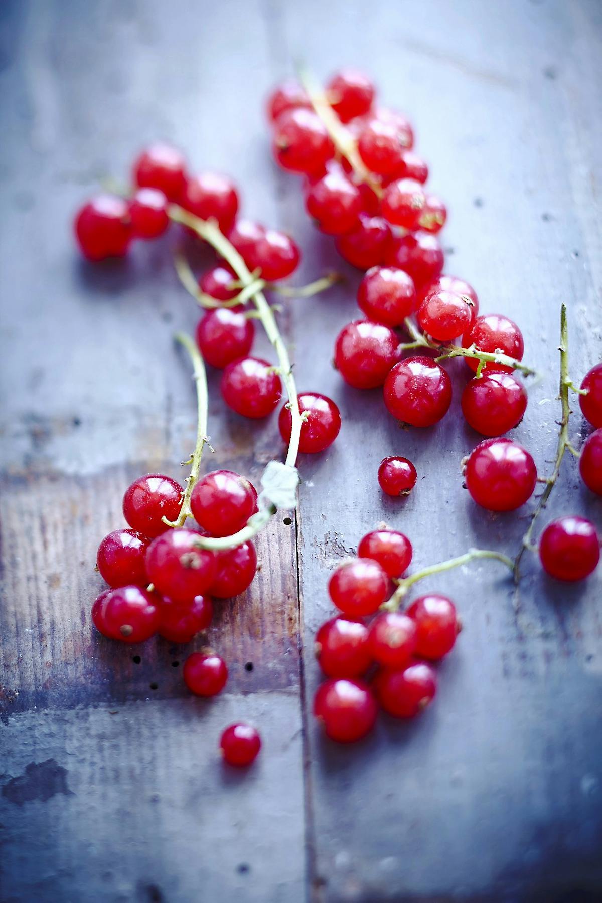 La groseille : tout savoir sur ce fruit rouge | Régal