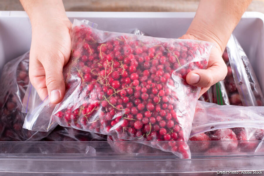 La groseille : tout savoir sur ce fruit rouge | Régal