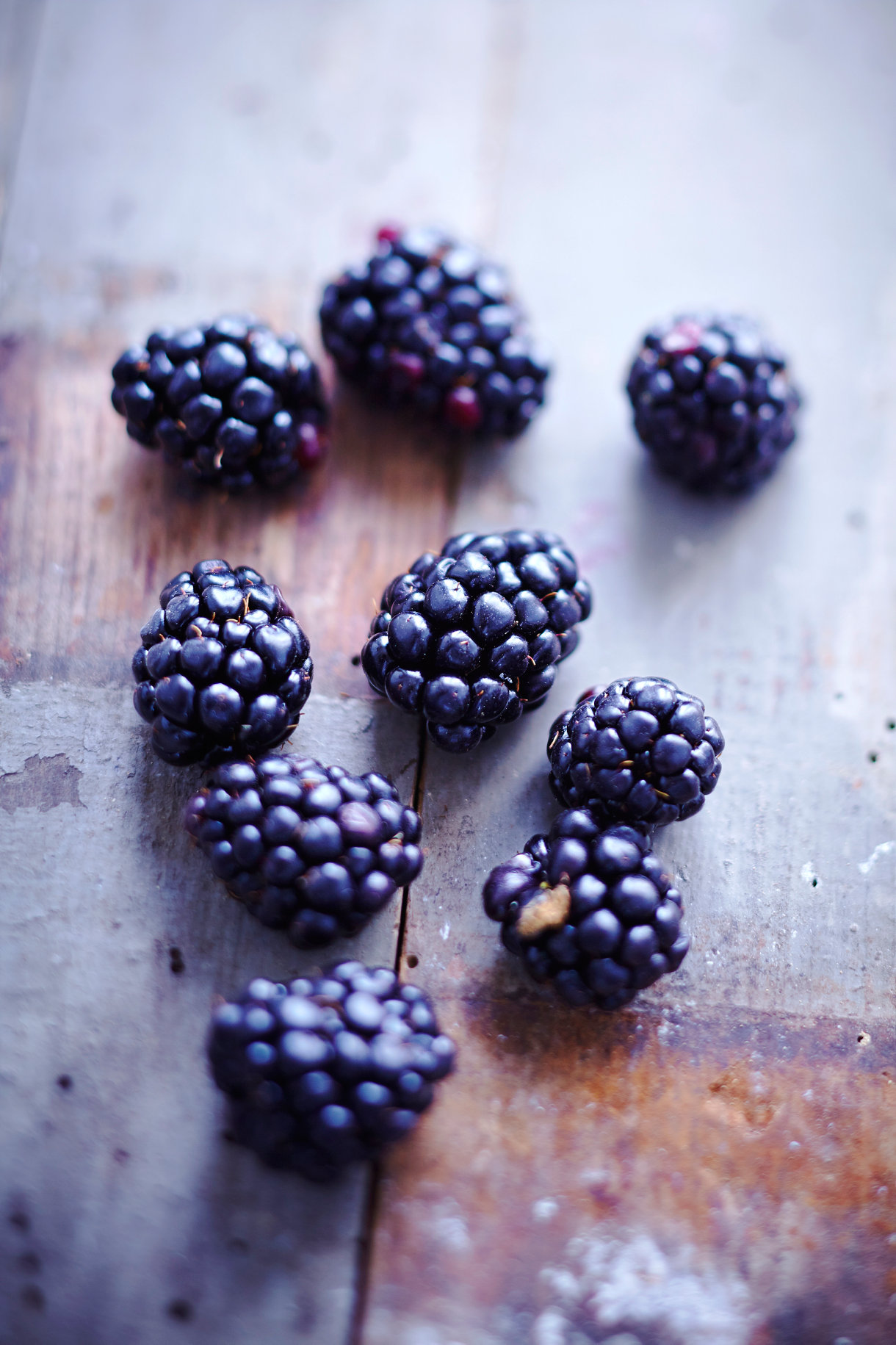 Tout savoir sur la mûre (variétés, conservation, idées recettes) | Régal