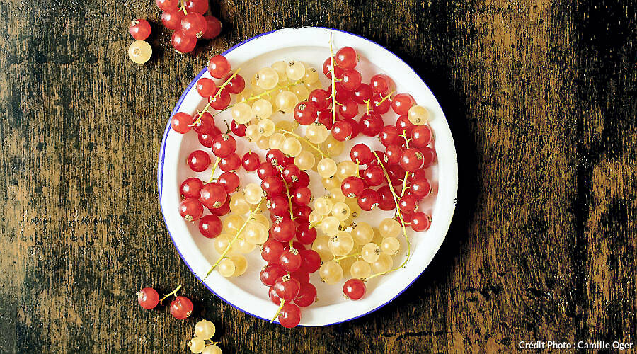 La groseille : tout savoir sur ce fruit rouge | Régal