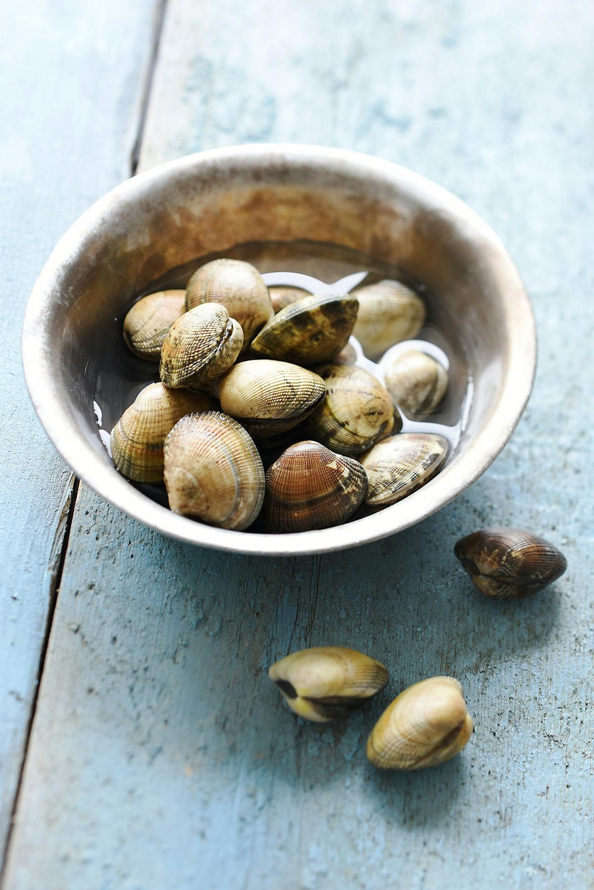 Tout savoir sur la palourde (pêche à pied, conseils d'achat ...