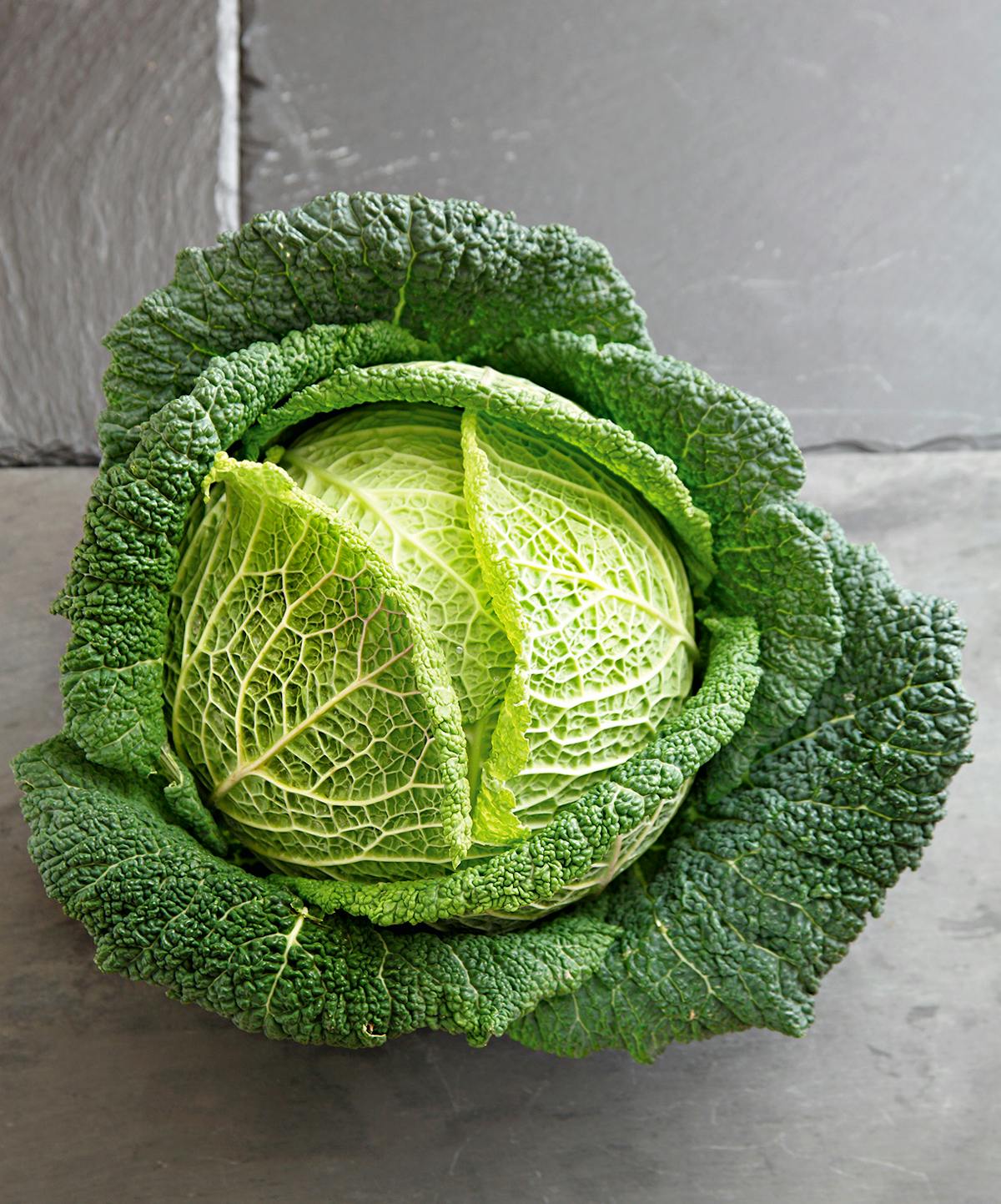 Choux de l'hiver : 80 idées de recettes gourmandes et réconfortantes ...