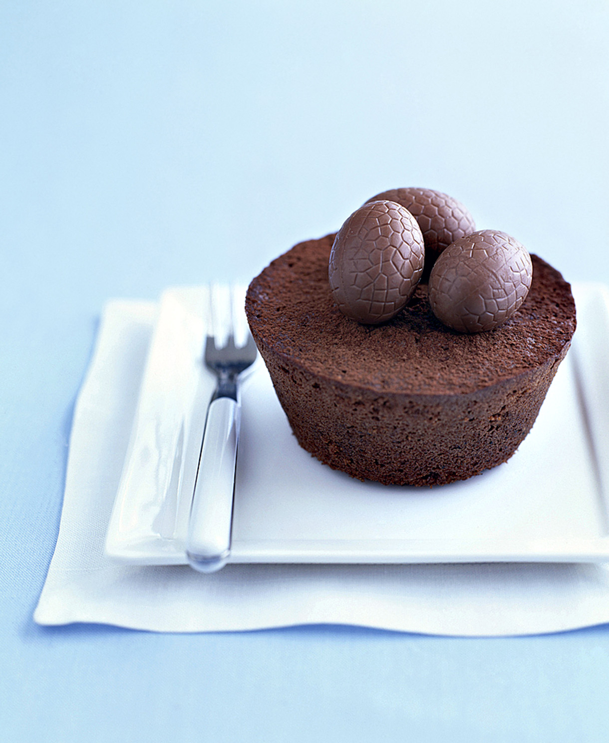 Truffon au chocolat fort | Régal