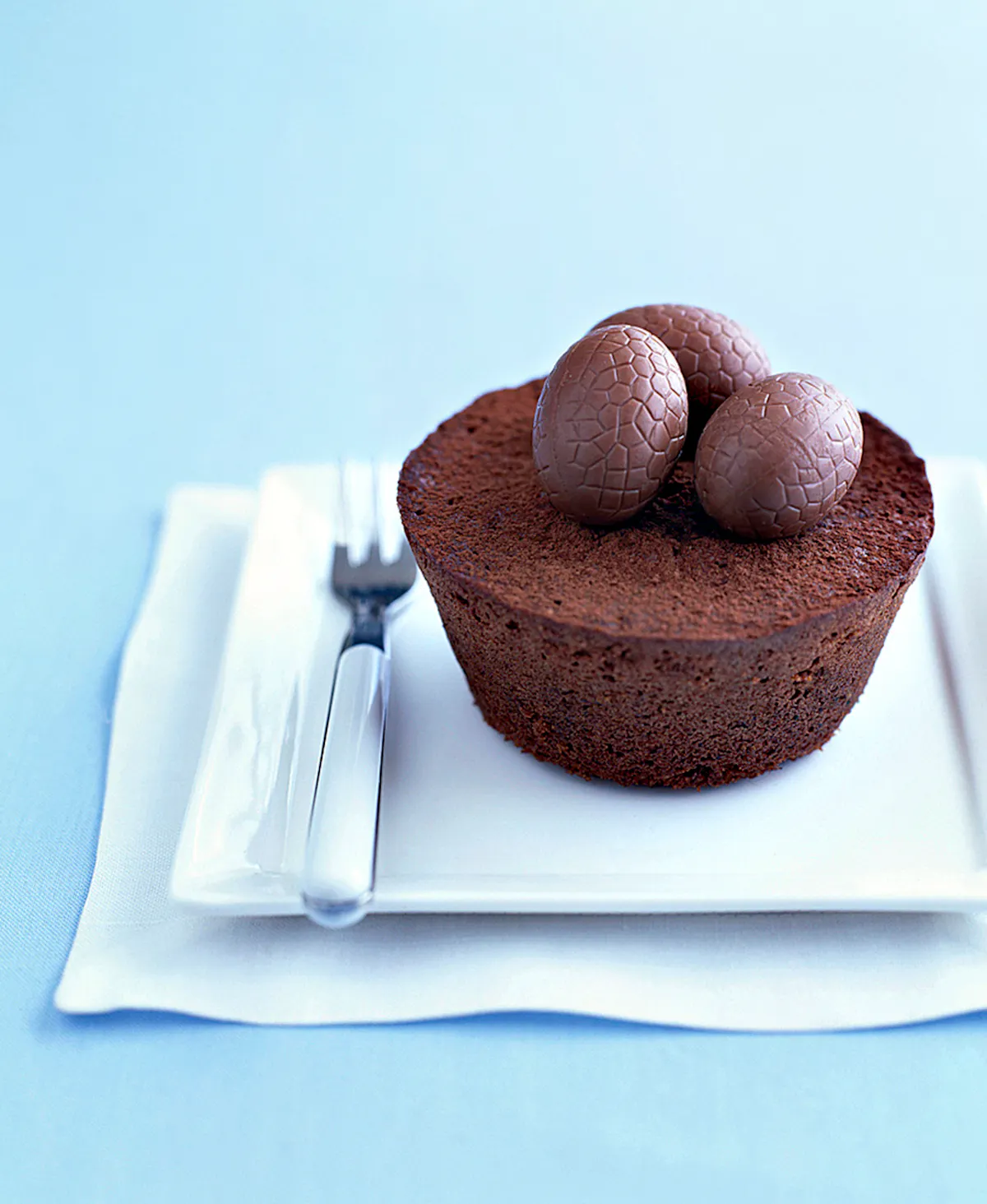 Truffon au chocolat fort | Régal