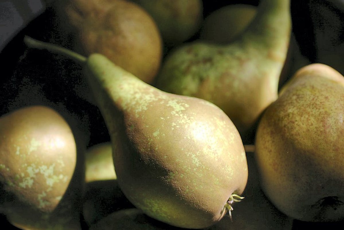 Poire conférence, saison poire conférence - Produits | Régal