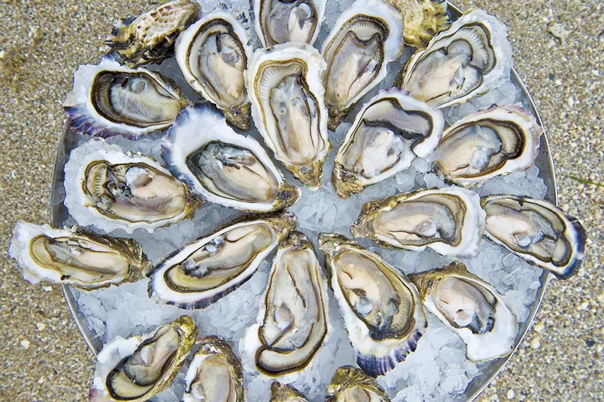 Huîtres : 10 recettes créatives pour les amoureux de fruits de mer | Régal