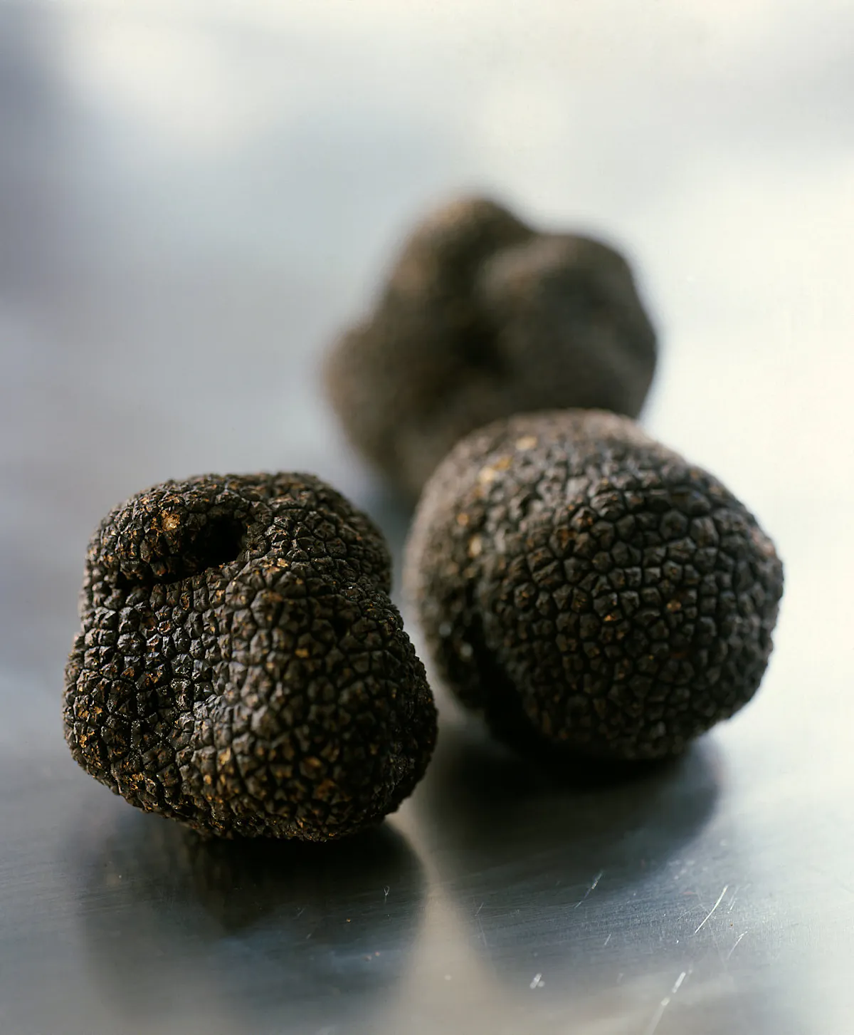 Truffe : 20 recettes gourmandes pour sublimer ce champignon d'exception ...