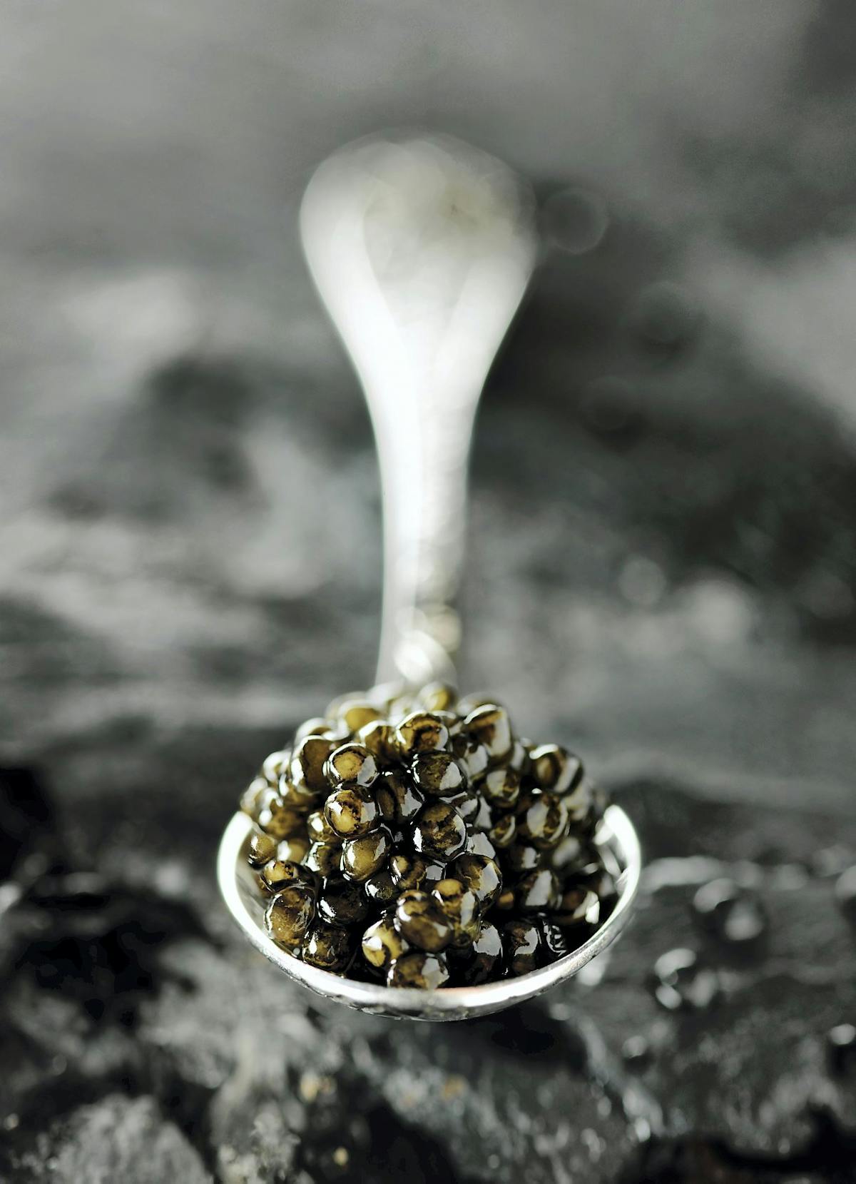 Caviar & oeufs de poisson : nos recettes gourmandes | Régal