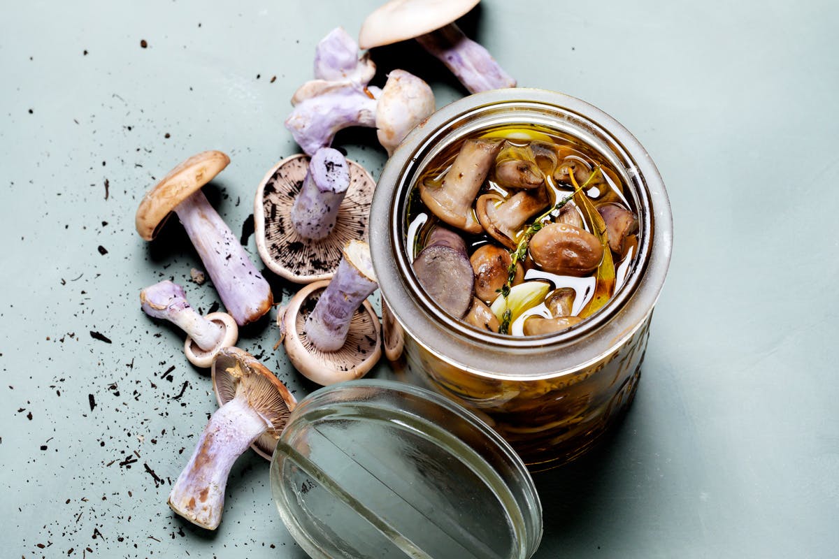 Conserves de champignons sanguins à l'huile | Régal