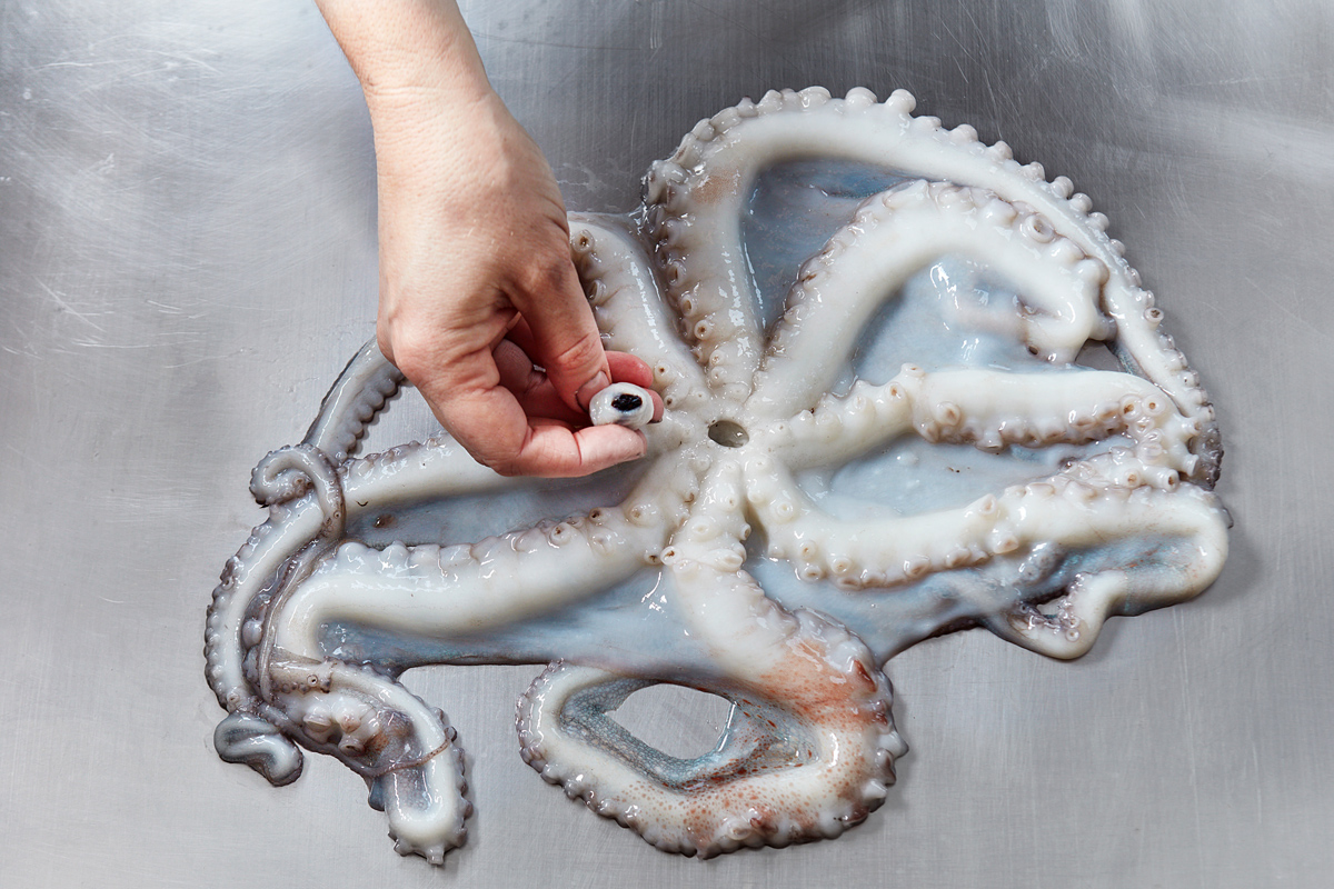 Comment cuisiner le poulpe ? Astuces & recettes 🐙 | Régal