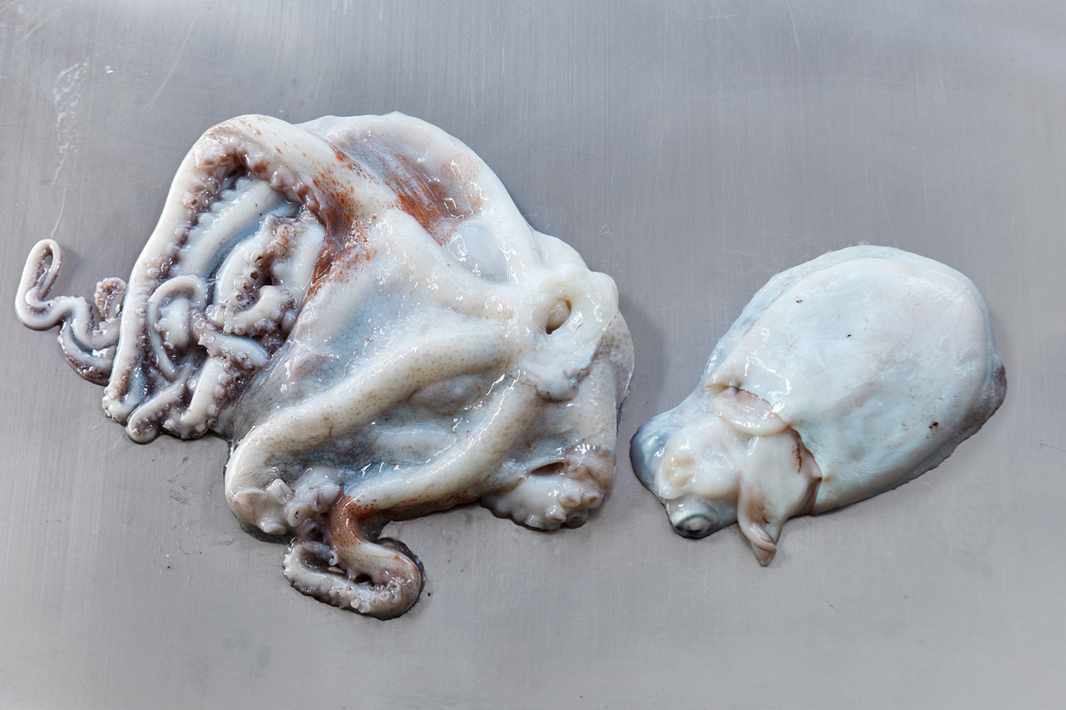 Comment cuisiner le poulpe ? Astuces & recettes 🐙 | Régal
